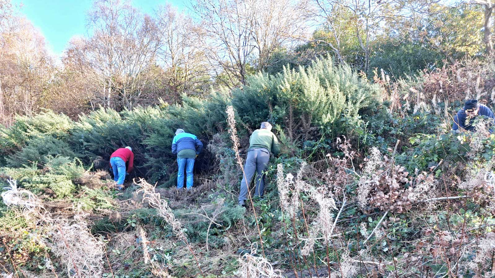 Monday 25 November - Beauchief Environment Group